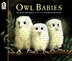 Owl Babies, Book by Martin Waddell (Paperback) | www.chapters.indigo.ca