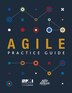 Agile Practice Guide, Book by Project Management Institute (Paperback) | www.chapters.indigo.ca
