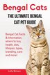 Bengal Cat Breed: Facts, Temperament Care Info BeChewy, 55% OFF
