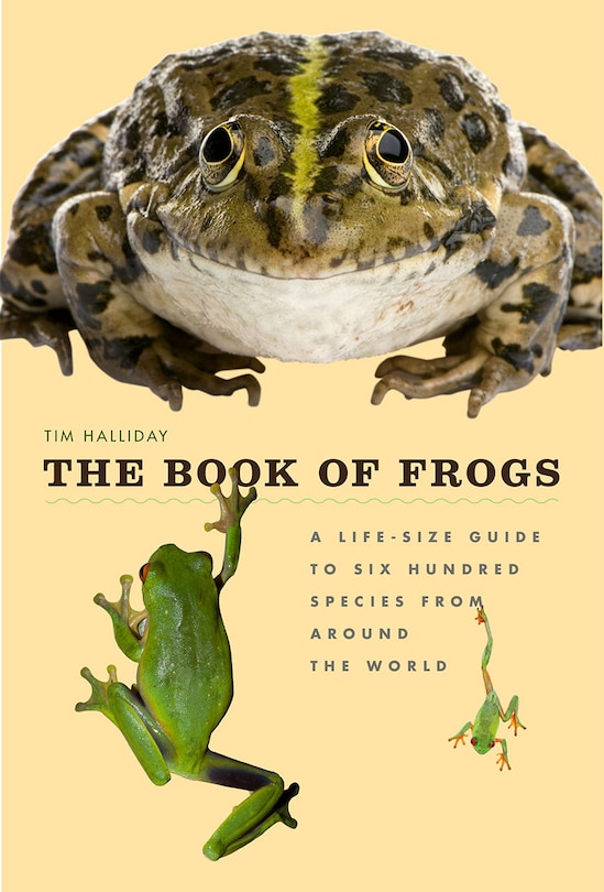 The Book Of Frogs: A Life-size Guide To Six Hundred Species From Around ...