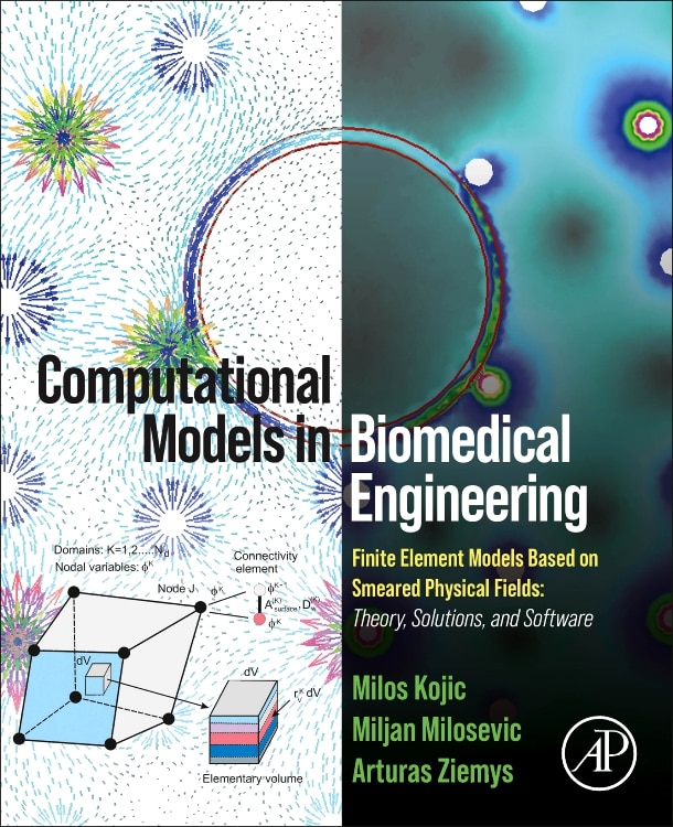 Computational Models In Biomedical Engineering: Finite Element Models Based On Smeared Physical ...
