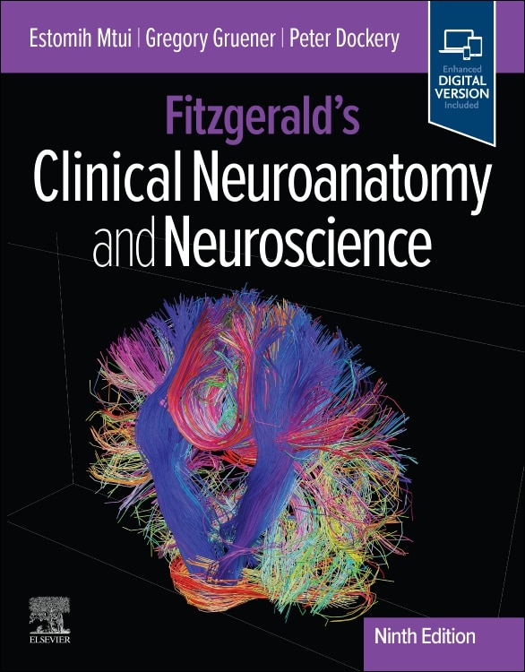Fitzgerald's Clinical Neuroanatomy And Neuroscience Book By Estomih ...
