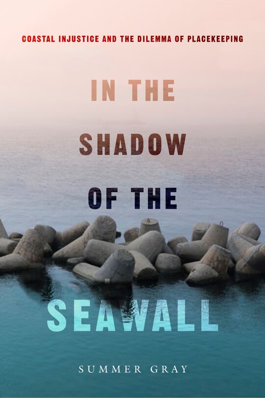 In the Shadow of the Seawall: Coastal Injustice and the Dilemma of ...