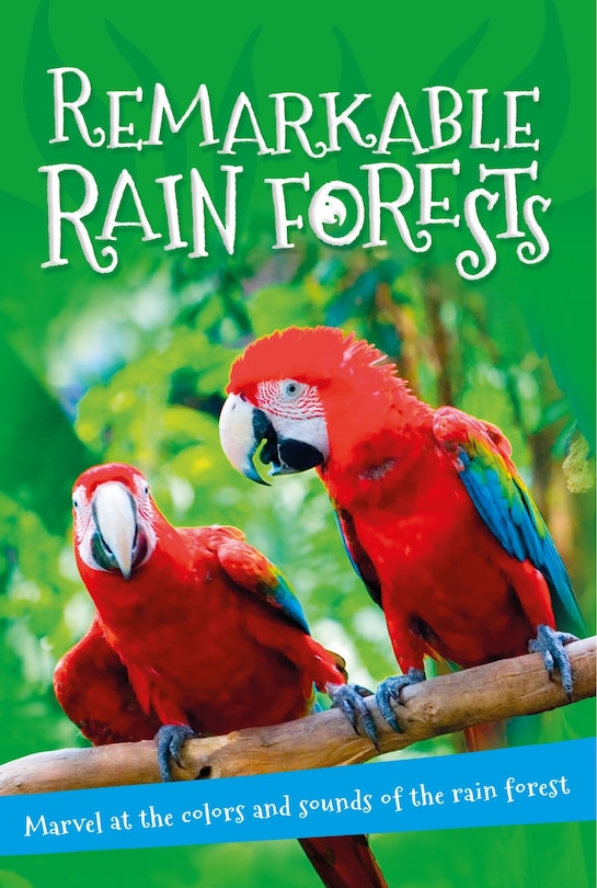 It's All About . . . Riotous Rain Forests: Everything You Want To Know ...