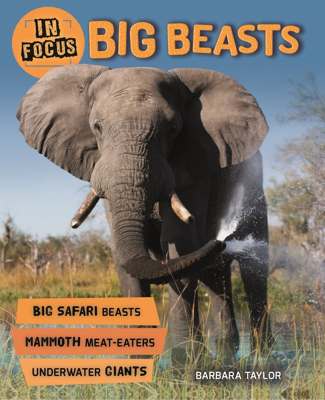 In Focus: Big Beasts Book By Steve Parker, ('tp') | Indigo