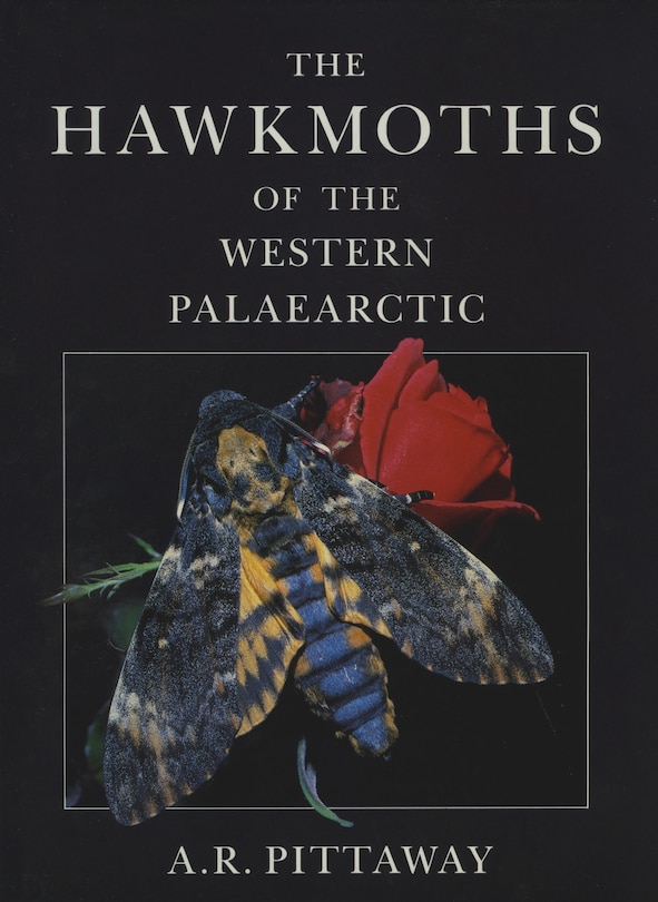 The Hawkmoths Of The Western Palaearctic Book By Ar Pittaway, ('tc ...
