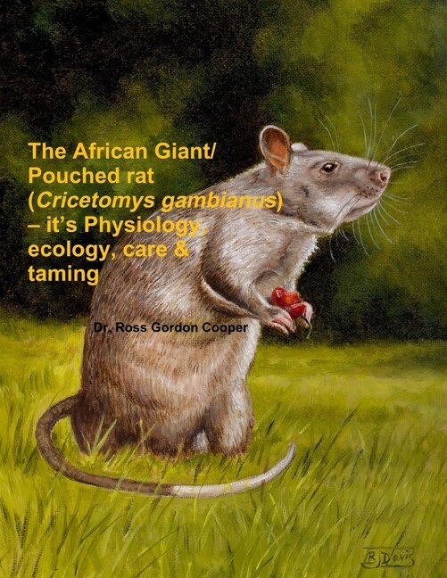 The African Giant/Pouched rat (Cricetomys gambianus) - it's Physiology ...