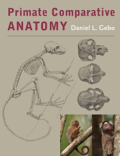 Primate Comparative Anatomy Book By Daniel L Gebo, ('tc') | Indigo