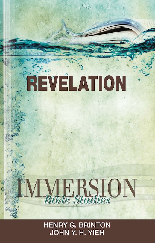 Immersion Revelation Book By Henry G Brinton,john Yueh-han Yieh, ('tp ...