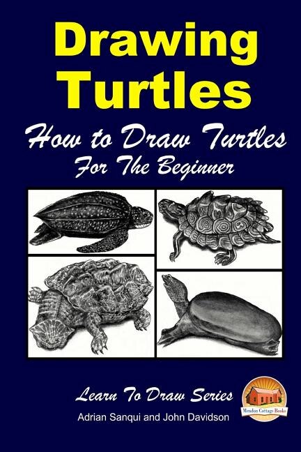 Drawing Turtles - How To Draw Turtles For The Beginner | Indigo