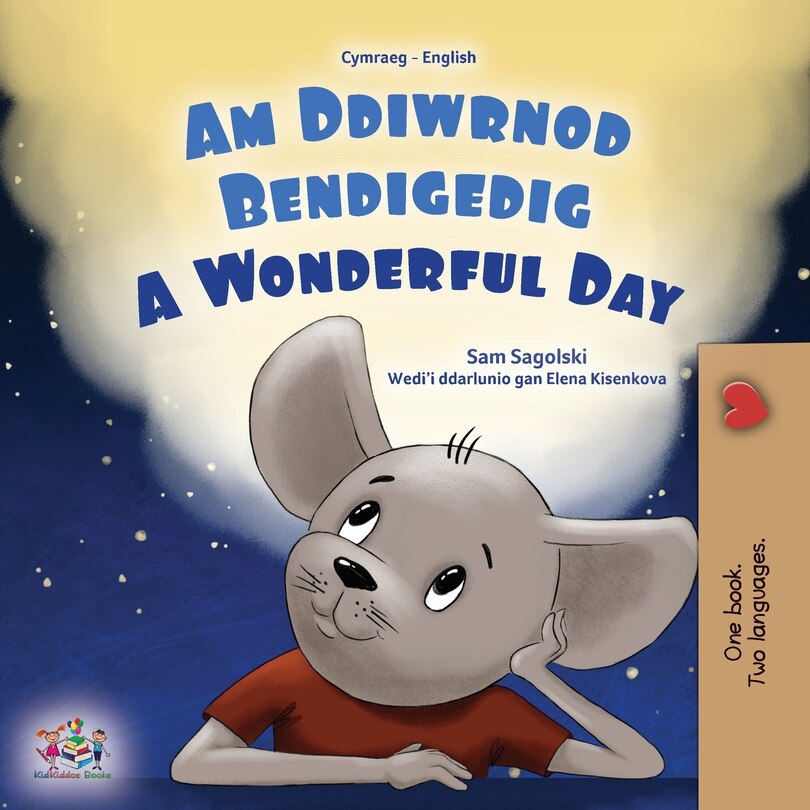 A Wonderful Day (welsh English Bilingual Children's Book) Book By Sam ...