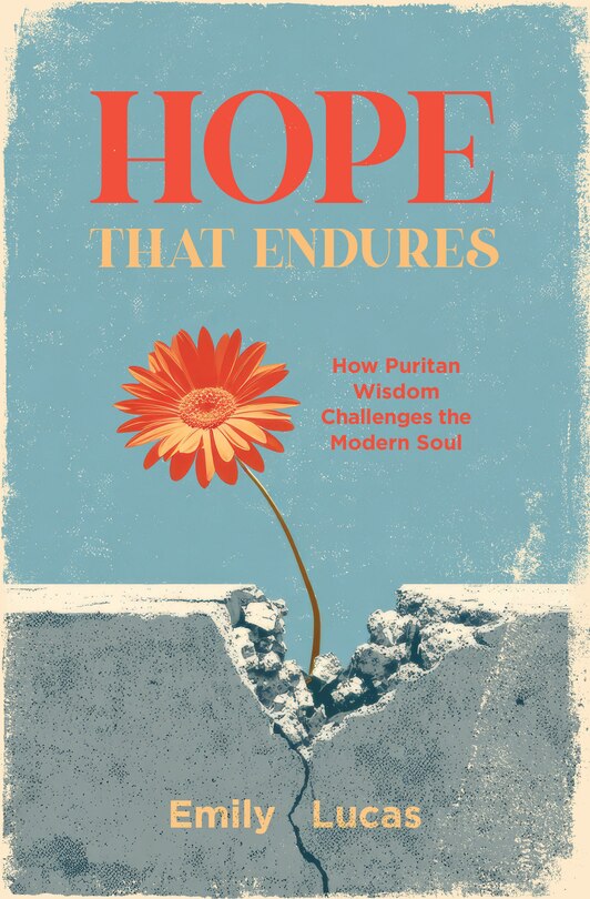 Hope That Endures: How Puritan Wisdom Challenges The Modern Soul Book ...