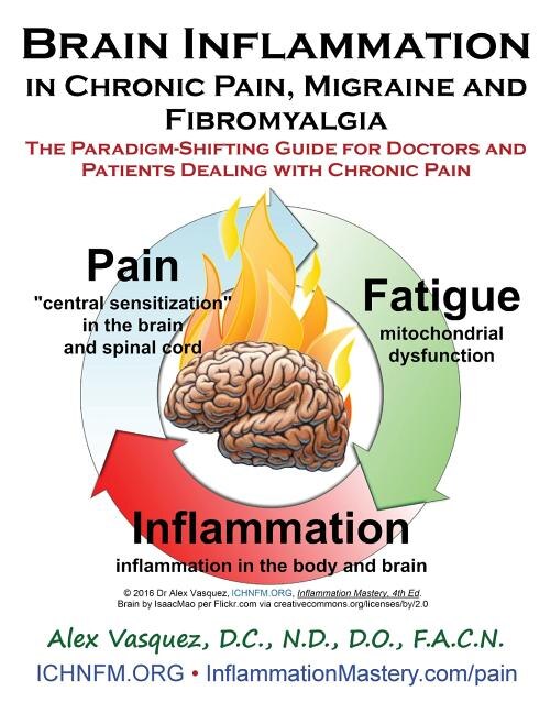 Brain Inflammation in Chronic Pain, Migraine and Fibromyalgia: The ...