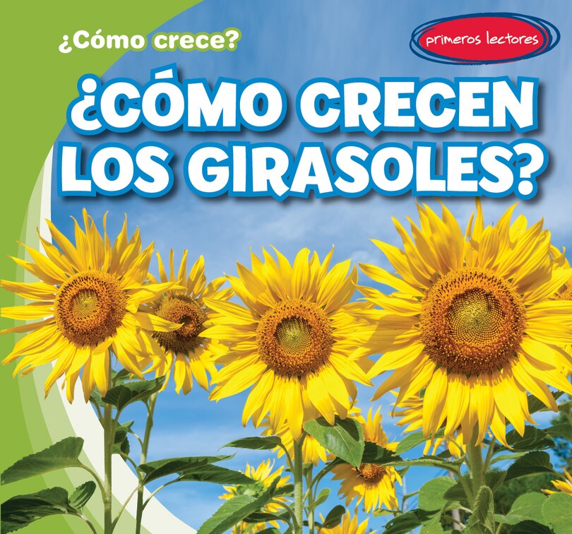 ¿Cómo Crecen Los Girasoles? (How Do Sunflowers Grow?) | Indigo