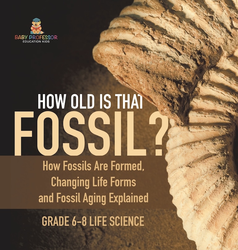 How Old is That Fossil? How Fossils are Formed, Changing Life Forms and Fossil Aging Explained ...