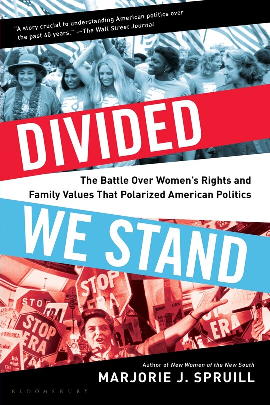 Divided We Stand: The Battle Over Women's Rights And Family Values That ...
