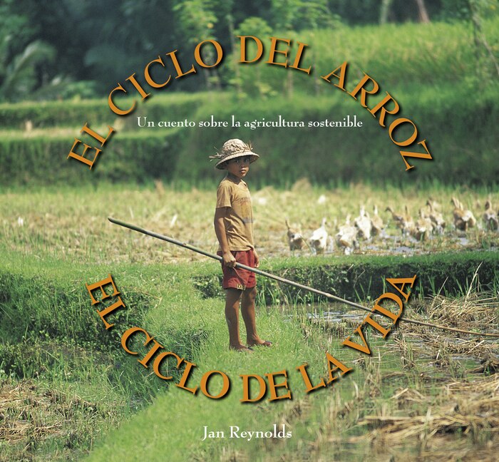 El Ciclo Del Arroz, El Ciclo De La Vida: Un Cuento Sobre La Agricultura ...