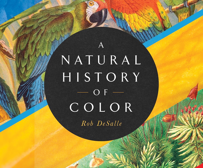 A Natural History of Color: The Science Behind What We See and How We ...