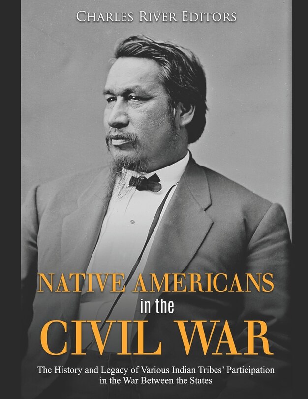 Native Americans in the Civil War: The History and Legacy of Various ...