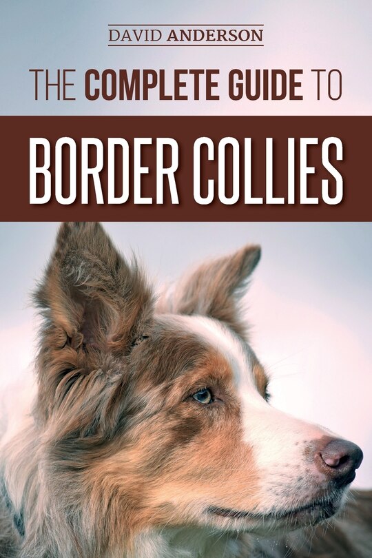 The Complete Guide To Border Collies: Training, Teaching, Feeding ...