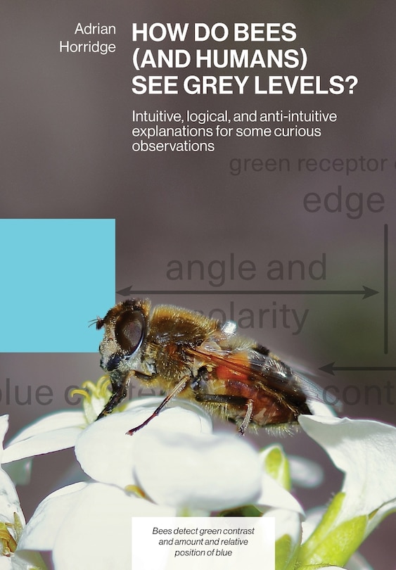 How Do Bees (and Humans) See Grey Levels?: Intuitive, Logical, And Anti ...