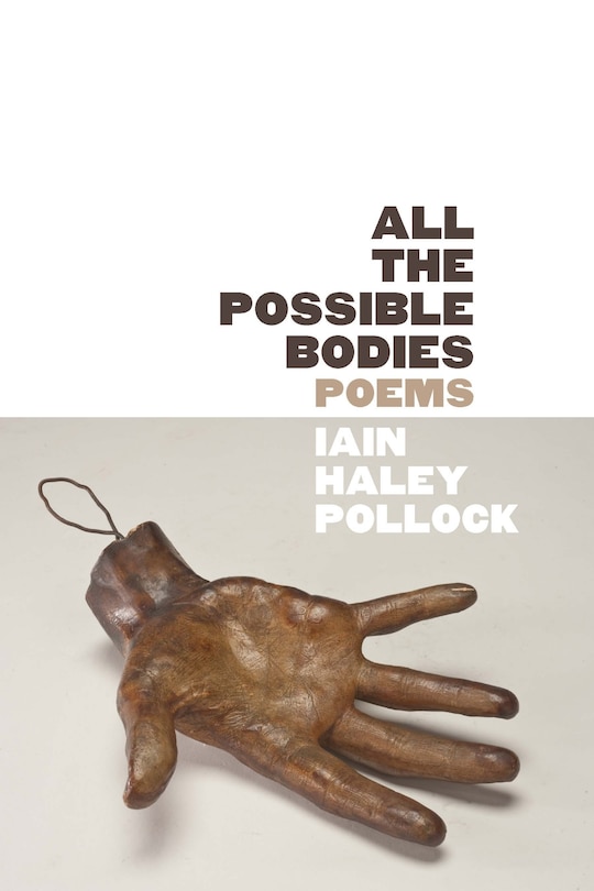 All The Possible Bodies Book By Iain Haley Pollock, ('tp') | Indigo