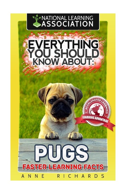 Everything You Should Know About: Pugs Faster Learning Facts | Indigo