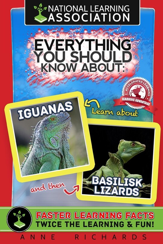 Everything You Should Know About: Iguanas and Basilisk Lizards | Indigo