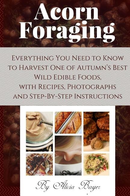 Acorn Foraging: Everything You Need To Know To Harvest One Of Autumn's ...