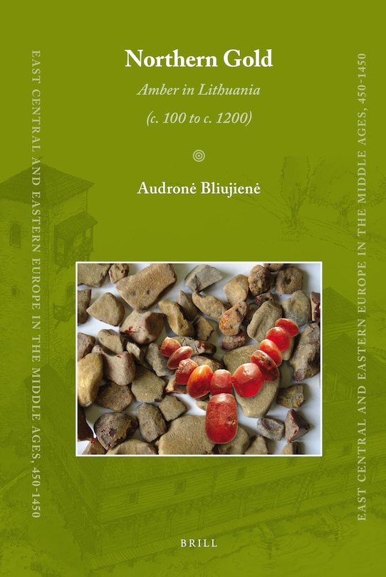 Northern Gold: Amber In Lithuania (c. 100 To C. 1200) Book By Audrone ...