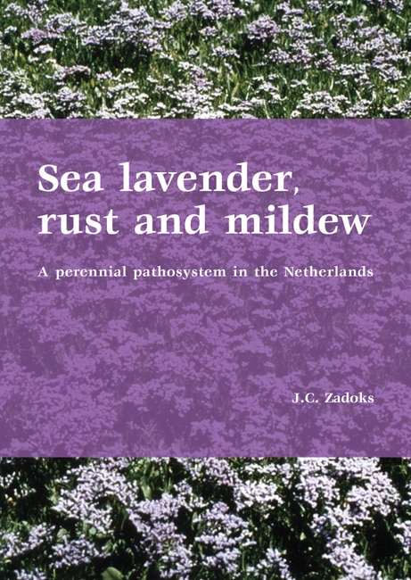 Sea Lavender, Rust And Mildew: A Perennial Pathosystem In The ...