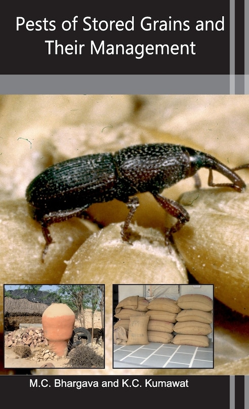 Pests of Stored Grains and Their Management | Indigo