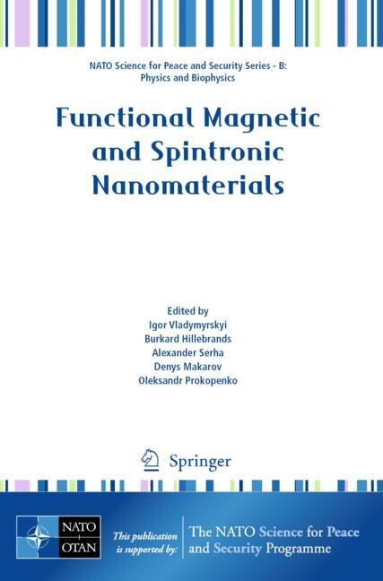 Functional Magnetic And Spintronic Nanomaterials Book By Igor ...