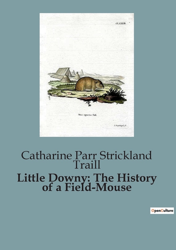 Little Downy: The History Of A Field-mouse: A Moral Tale Of Adventure ...