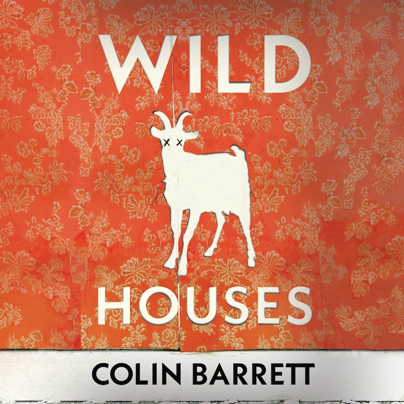 Wild Houses Book By Colin Barrett, ('cd') | Indigo