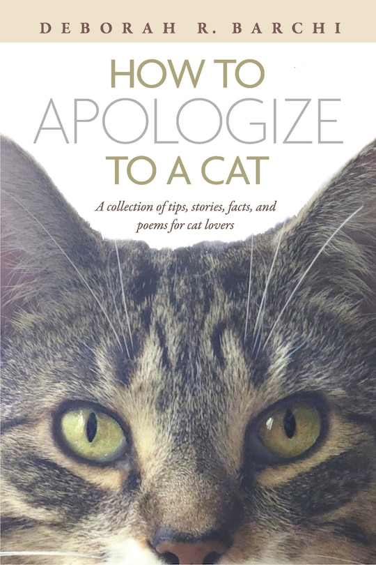 How To Apologize To A Cat: A Collection Of Tips, Stories, Facts, And ...
