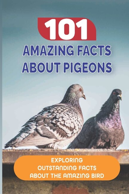 101 Amazing Facts About Pigeons: Exploring Outstanding Facts About The ...
