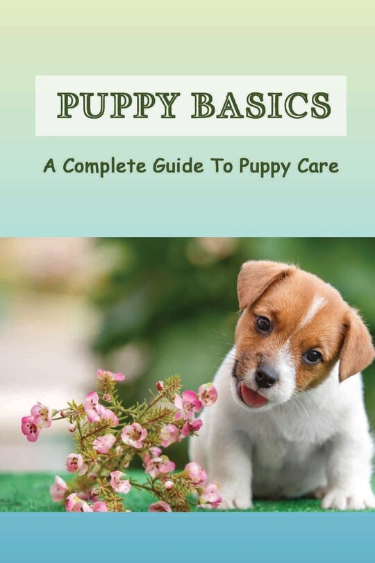 Puppy Basics: A Complete Guide To Puppy Care: How To Train And Care For ...