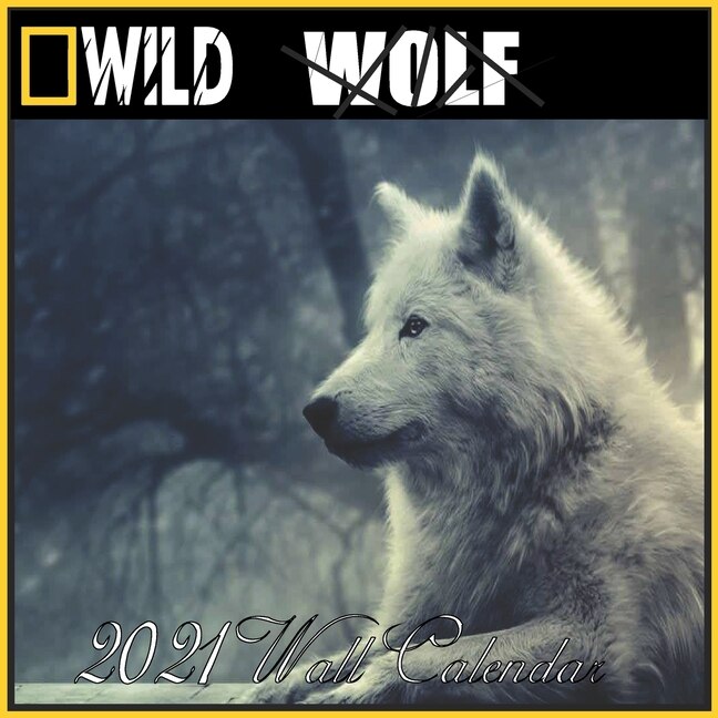 Wolf Calendar 2021: Wolf calendar 2021 "8.5x8.5" Inch 16 Months JAN ...