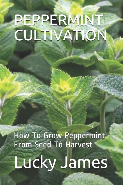 Peppermint Cultivation: How To Grow Peppermint From Seed To Harvest ...