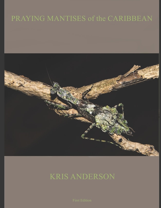 Praying Mantises Of The Caribbean Book By Kris Anderson, ('tp') | Indigo