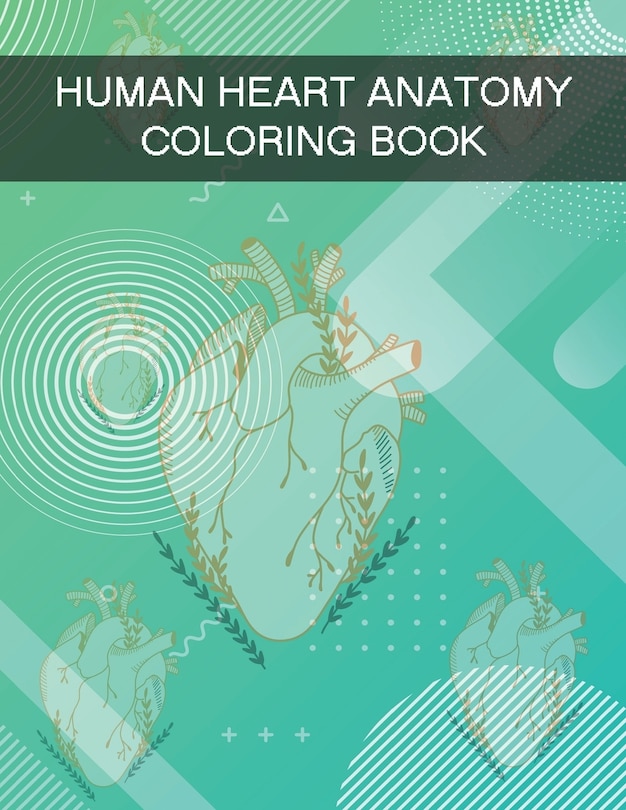 human heart anatomy coloring book