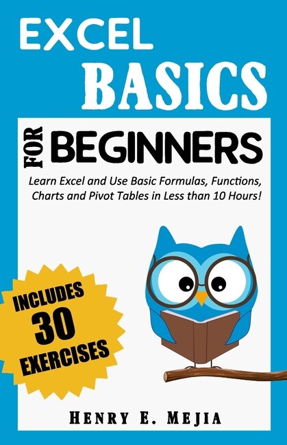 Excel Basics for Beginners: Learn Excel and Use Basic Formulas, Functions, Charts and Pivot ...