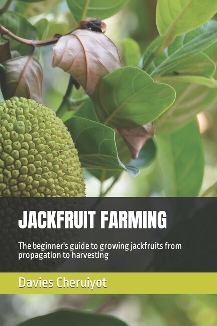 Jackfruit Farming: The Beginner's Guide To Growing Jackfruits From ...