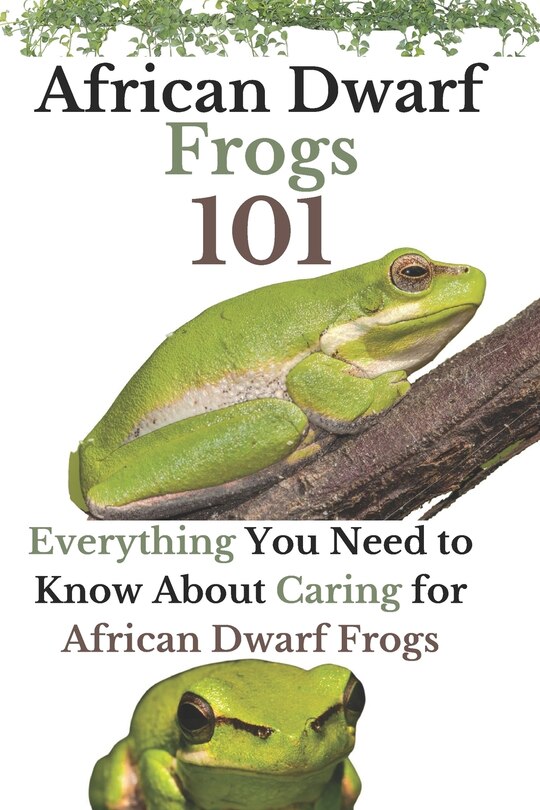 African Dwarf Frogs 101: Everything You Need to Know Caring For African ...