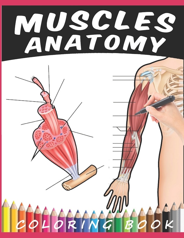 Muscles Anatomy Coloring Book: A Human Muscular System Anatomy And ...