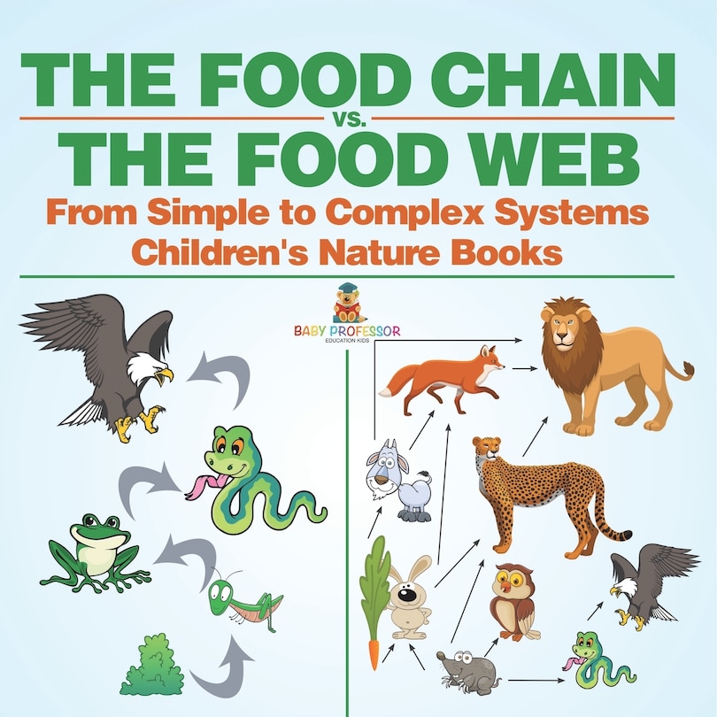 The Food Chain Vs. The Food Web - From Simple To Complex Systems ...
