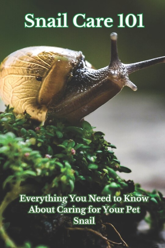 Snail Care 101: Everything You Need to Know About Caring for Your Pet Snail | Indigo