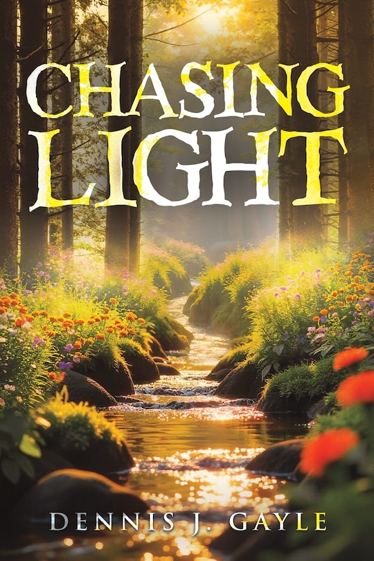Chasing Light Book By Dennis J Gayle, ('tp') | Indigo