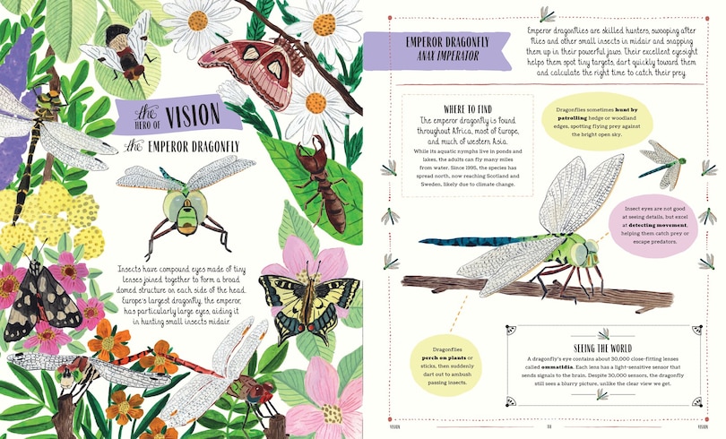 Buzz: A Family Guide To Bugs And Bees And How To Spot Them Book By ...